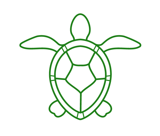 Turtle Resilience – Online resilience